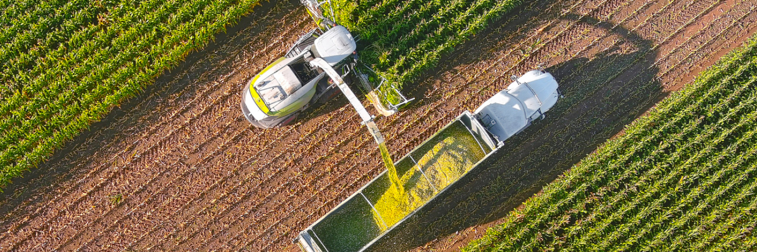 GROWMARK Case Study | Customer Stories | Zscaler