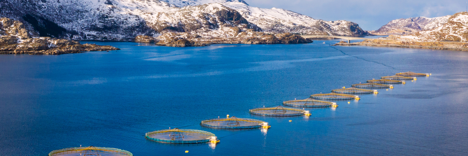 Mowi Case Study | Customer Stories | Zscaler