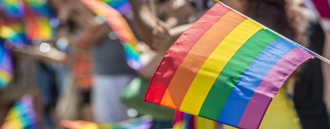 Pride@Z Celebrates National Coming Out Day & LGBT Month