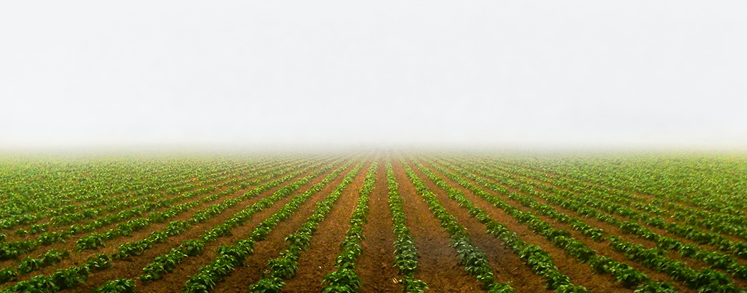 GROWMARK is Sowing Success While Working From Home | Zscaler